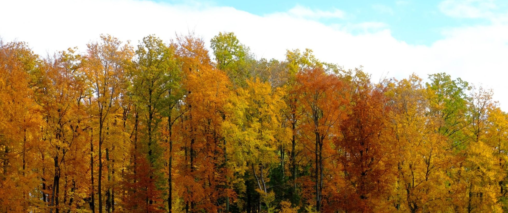 Gemeinde Safnern, 2553 Safnern - Gemeinde Portrait
