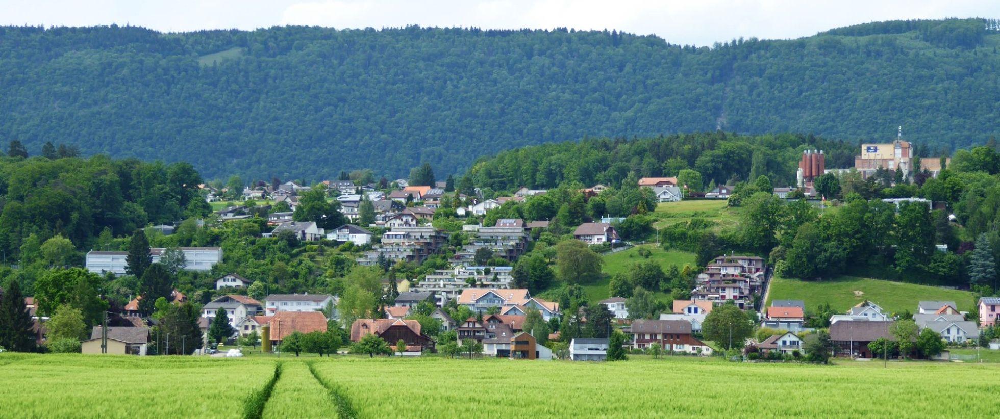 Gemeinde Safnern, 2553 Safnern - Startseite