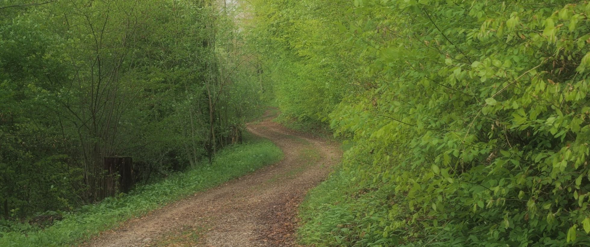 Gemeinde Safnern, 2553 Safnern - Startseite