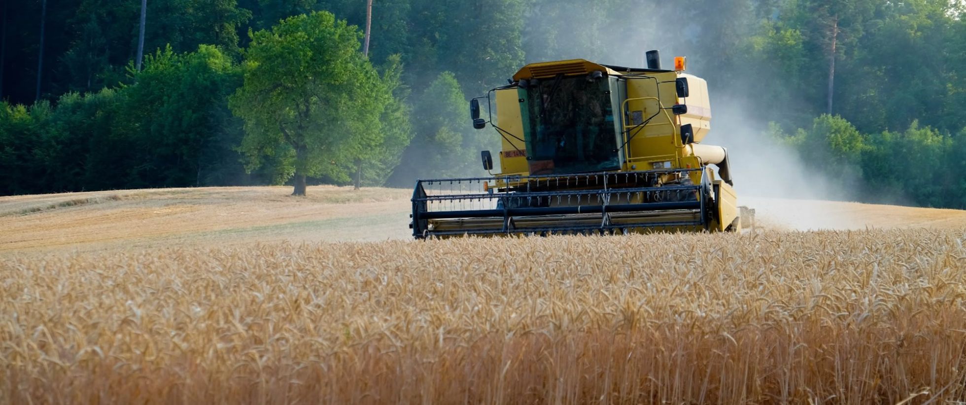 Gemeinde Safnern, 2553 Safnern - Startseite